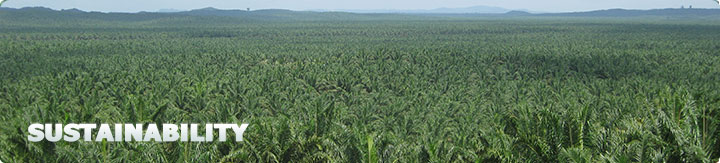 Sustainability - TSH Resources Berhad