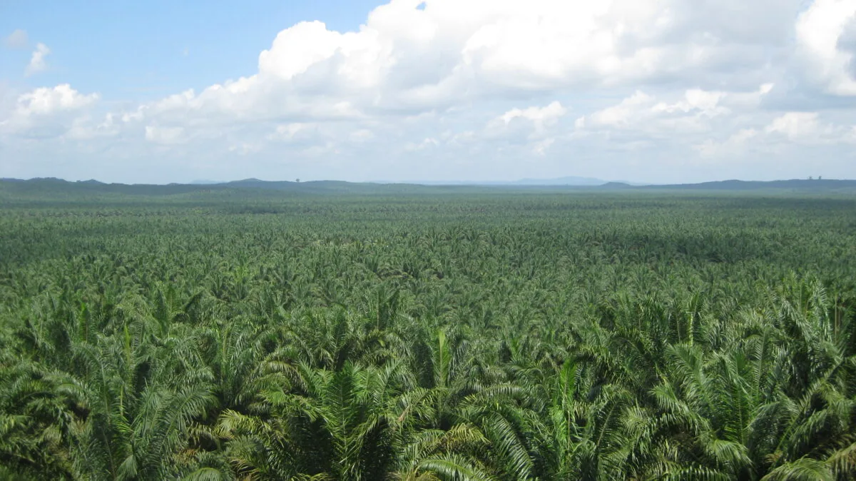 Board of Directors - TSH Resources Berhad