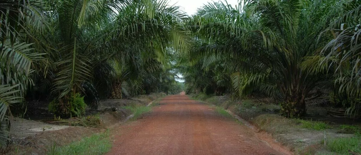 Contact Us | TSH Resources Berhad