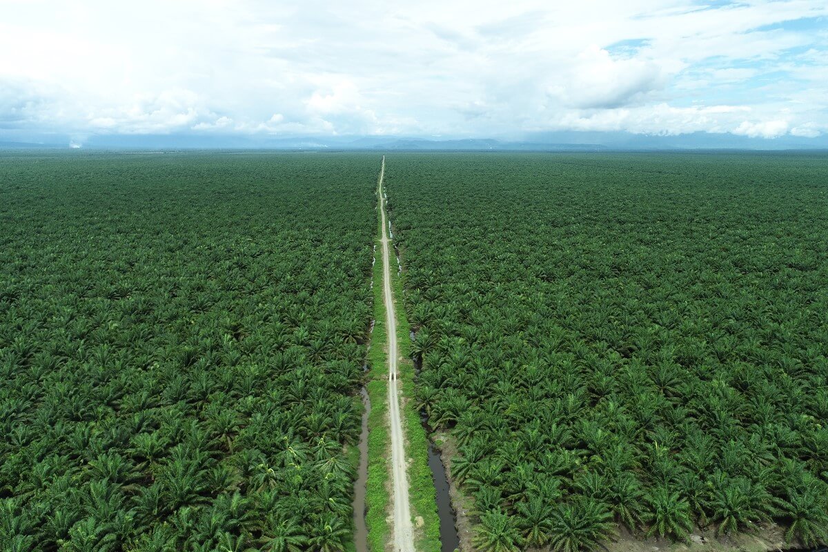 Career | Contact Us | TSH Resources Berhad