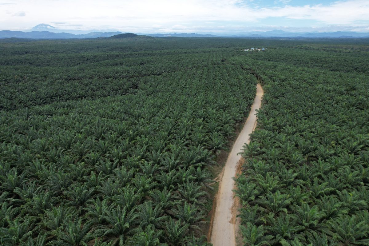 Sustainability | TSH Resources Berhad